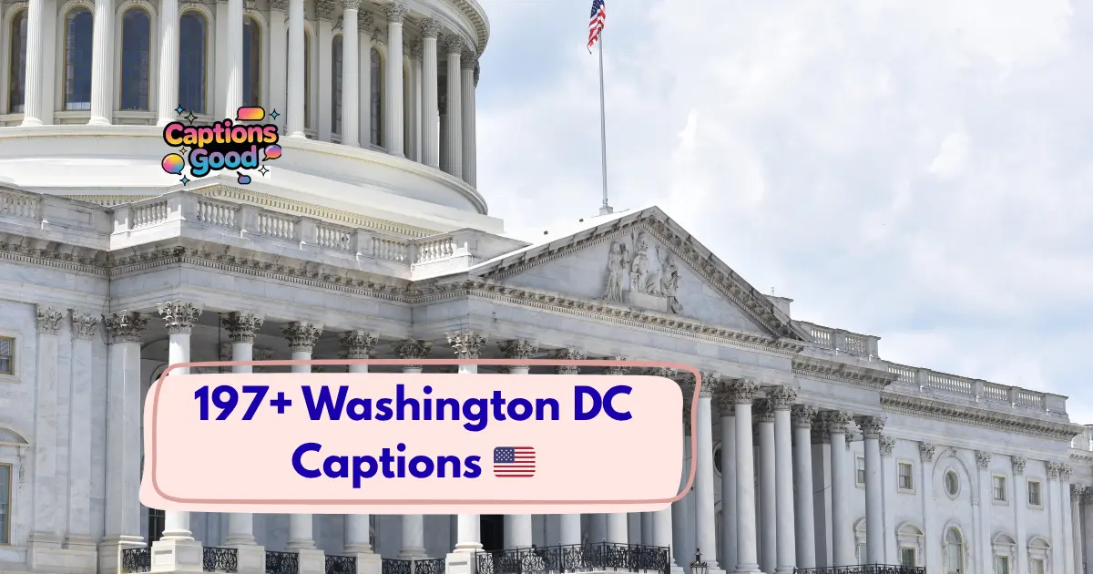 250+ Washington DC Captions 🇺🇸